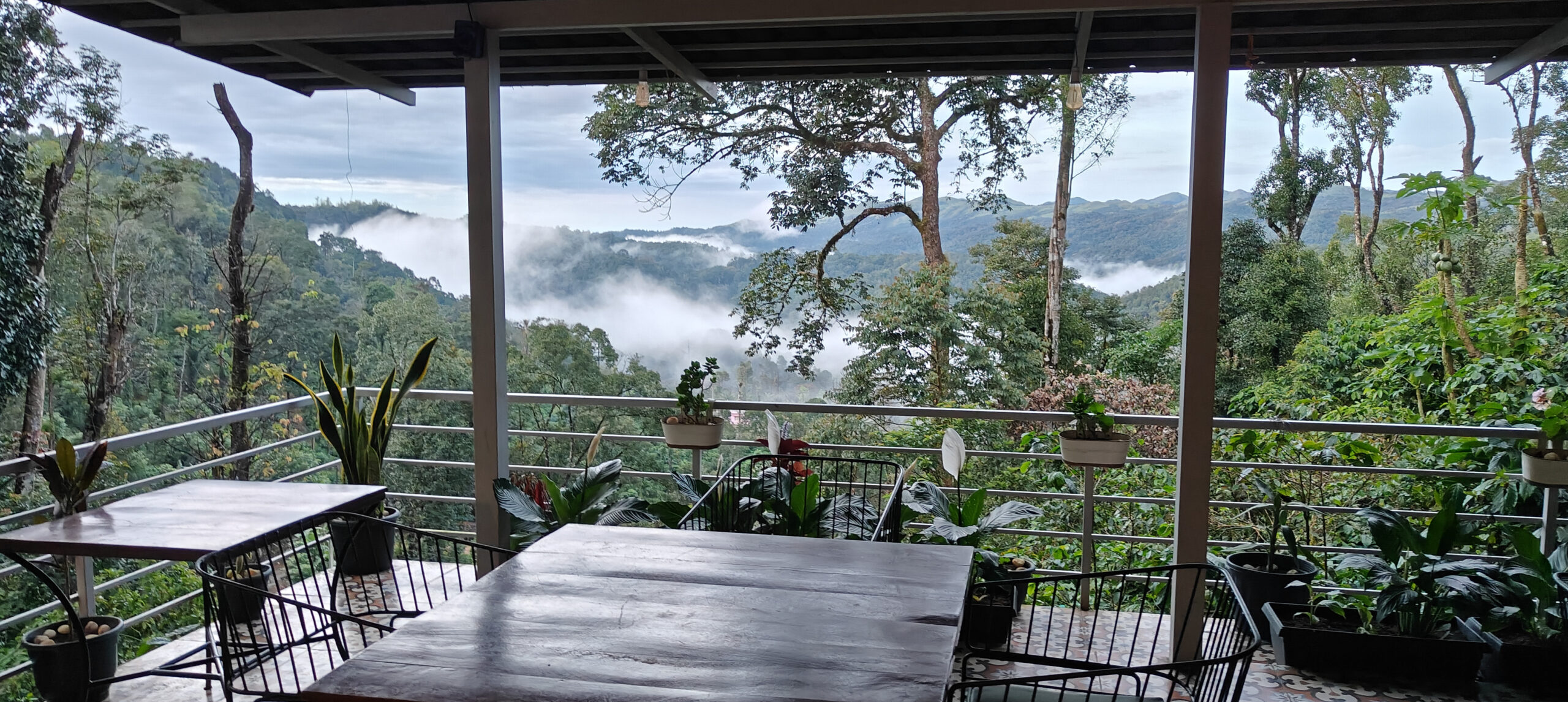 Contact Us - The Woodpecker Estate - Coorg